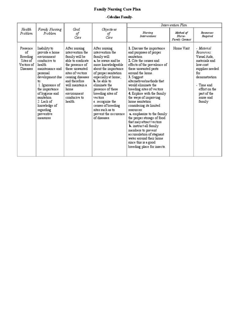 Family Nursing Care Plan | PDF