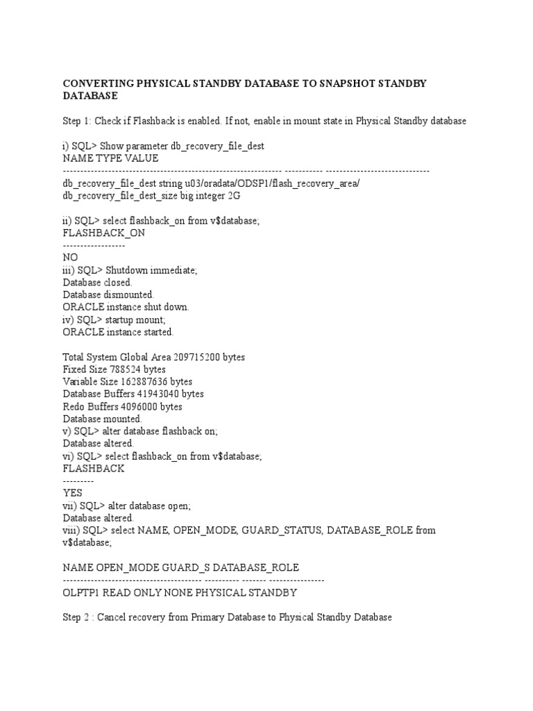 Oracle 11g Converting Physical Standby Database To Snapshot Standby Database Pdf Oracle