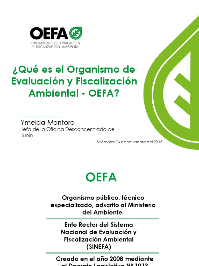 PPT Qué Es El OEFA Final | PDF