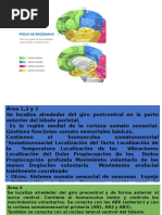 La Terapia Focalizada en Las Emociones o Terapia Centrada en Las ...