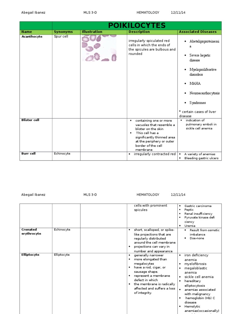 POIKILOCYTES | PDF | Anemia | Red Blood Cell