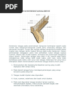 Ukuran Standar Tangga Ideal Yang Nyaman | PDF