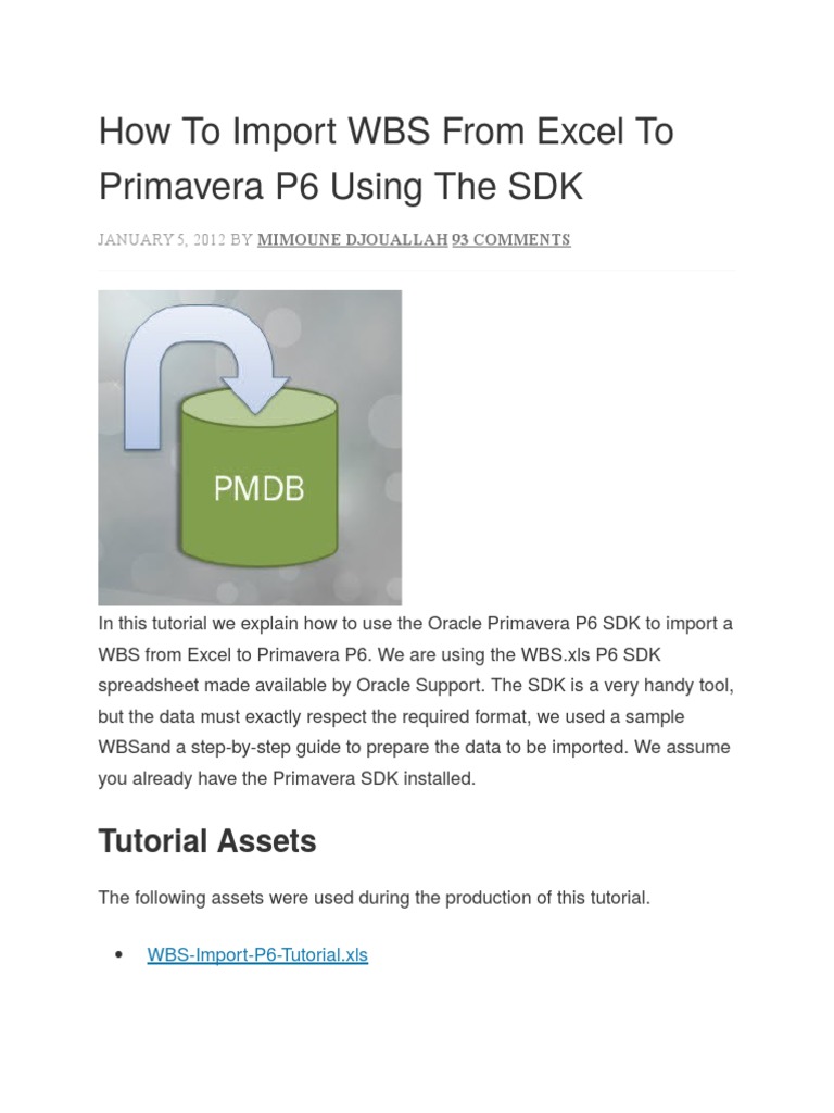 How To Import WBS From Excel To Primavera P6 Using The SDK | PDF | Microsoft Excel | Databases