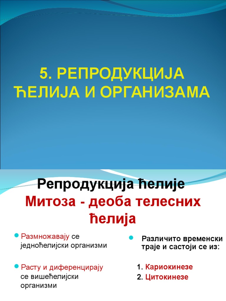 Humana genetika - 5. Reprodukcija ćelija i organizama | PDF