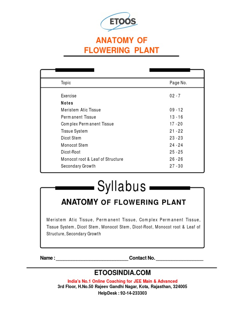 Anatomy of Flowering Plant | PDF