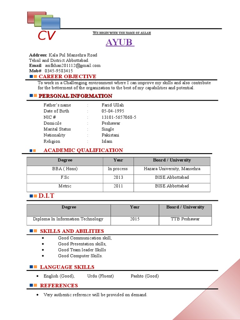 Career Objective: Personal Information | PDF