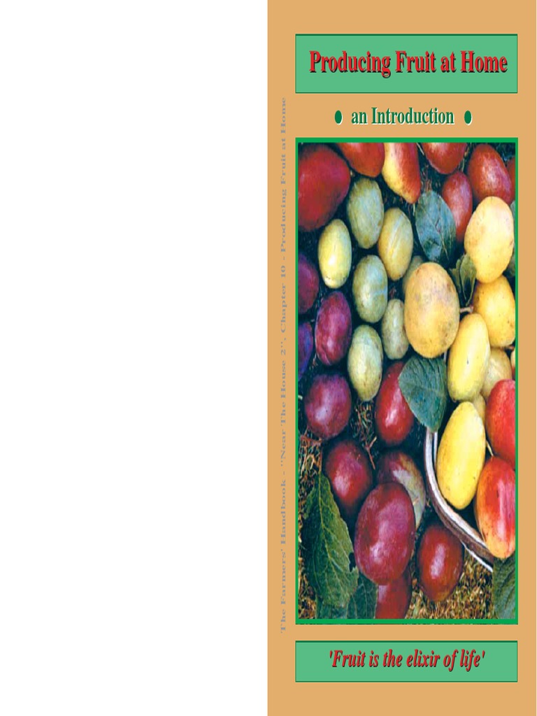 10 Fruit Introduction | PDF