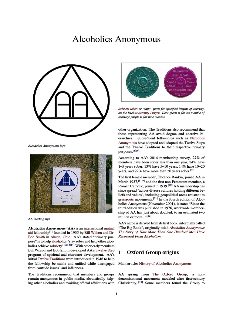 History and Principles of AA | PDF | Support Group | Alcoholics Anonymous