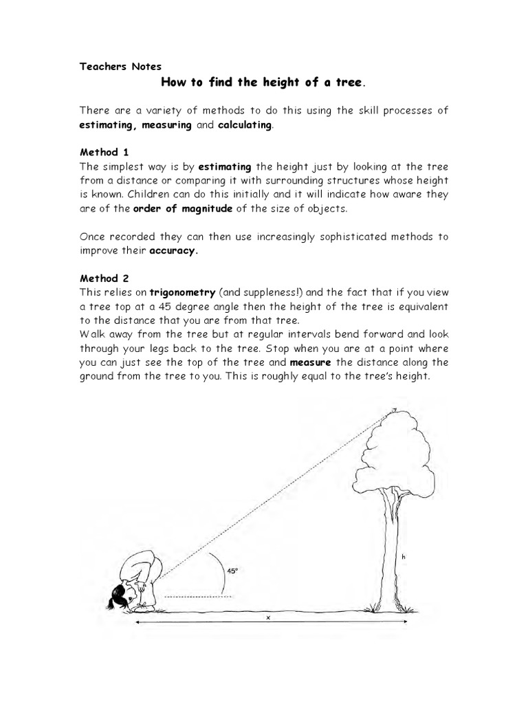 Methods to Measure Tree Height | PDF | Trees | Scientific Observation