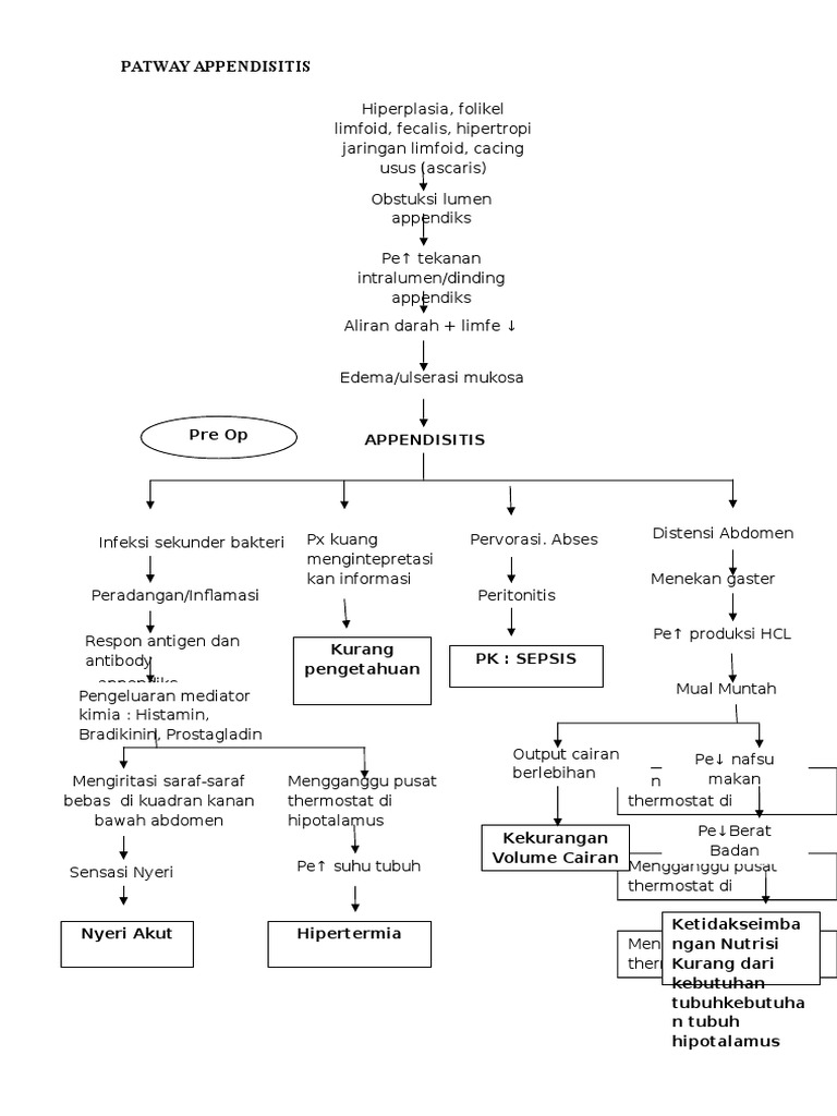 Patway Apendiks | PDF