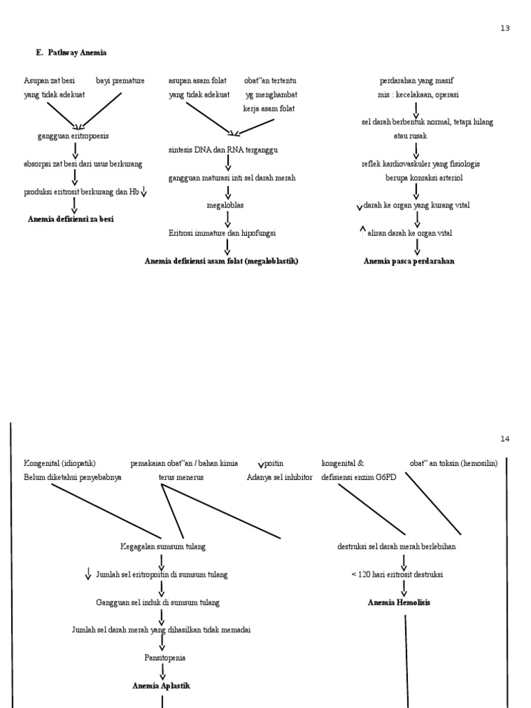 Pathway Anemia | PDF