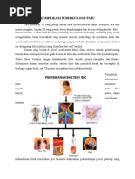 Refka Meningitis | PDF