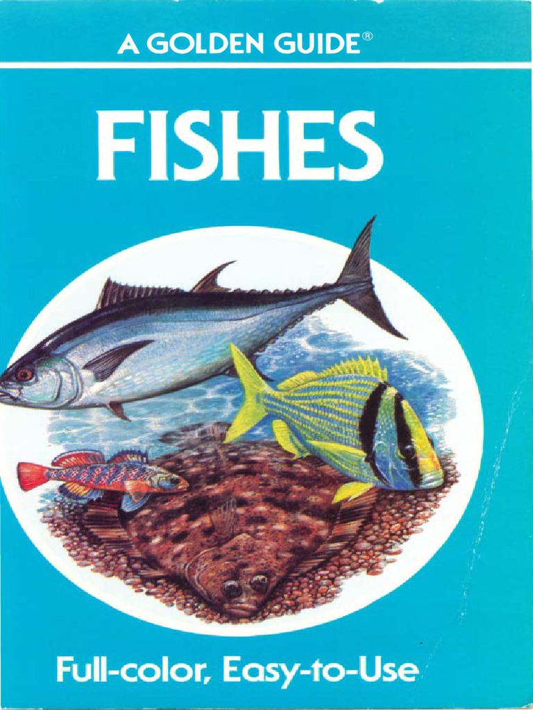 Fishes - Golden Guide 1987 PDF | PDF | Rainbow Trout | Sharks