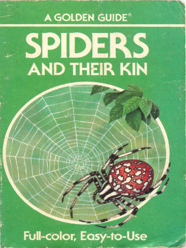 Spiders and Thier Kin - Golden Guide 1990 PDF | PDF | Spider | Spider Web