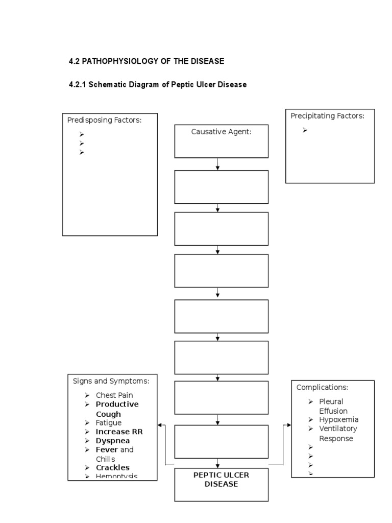 4.2 Pathophysiology of The Disease 4.2.1 Schematic Diagram of Peptic ...