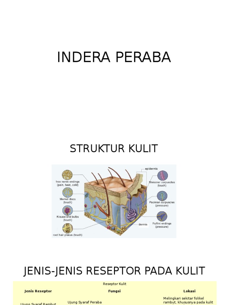 Indera Peraba | PDF