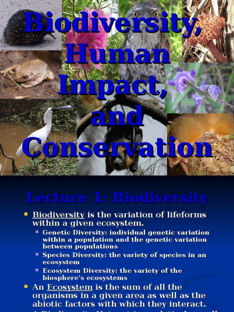 Biodiversity, Human Impact, and Conservation | PDF | Biodiversity | Ecology