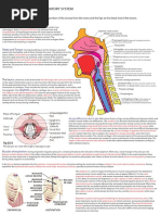 Chapman Points Table | PDF | Anatomical Terms Of Location | Neck