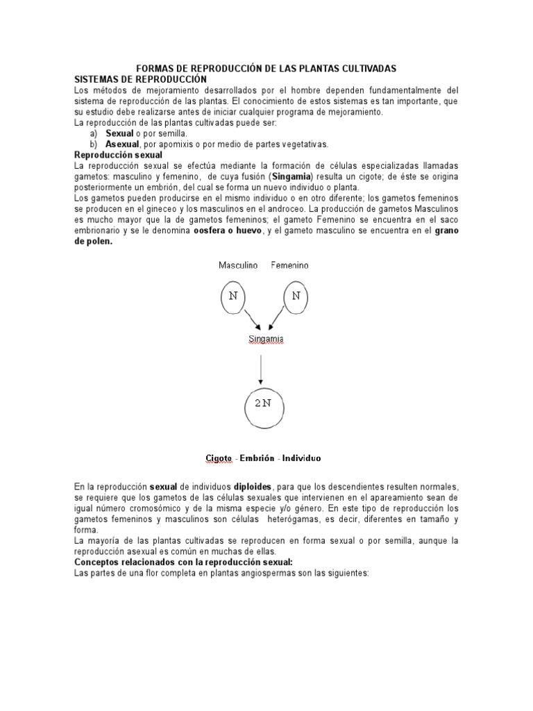 Reproducción de plantas: gametos y apogamia | PDF | Reproducción | Mitosis