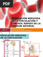 Inervación Del Corazón | PDF | Corazón | Neuroanatomía