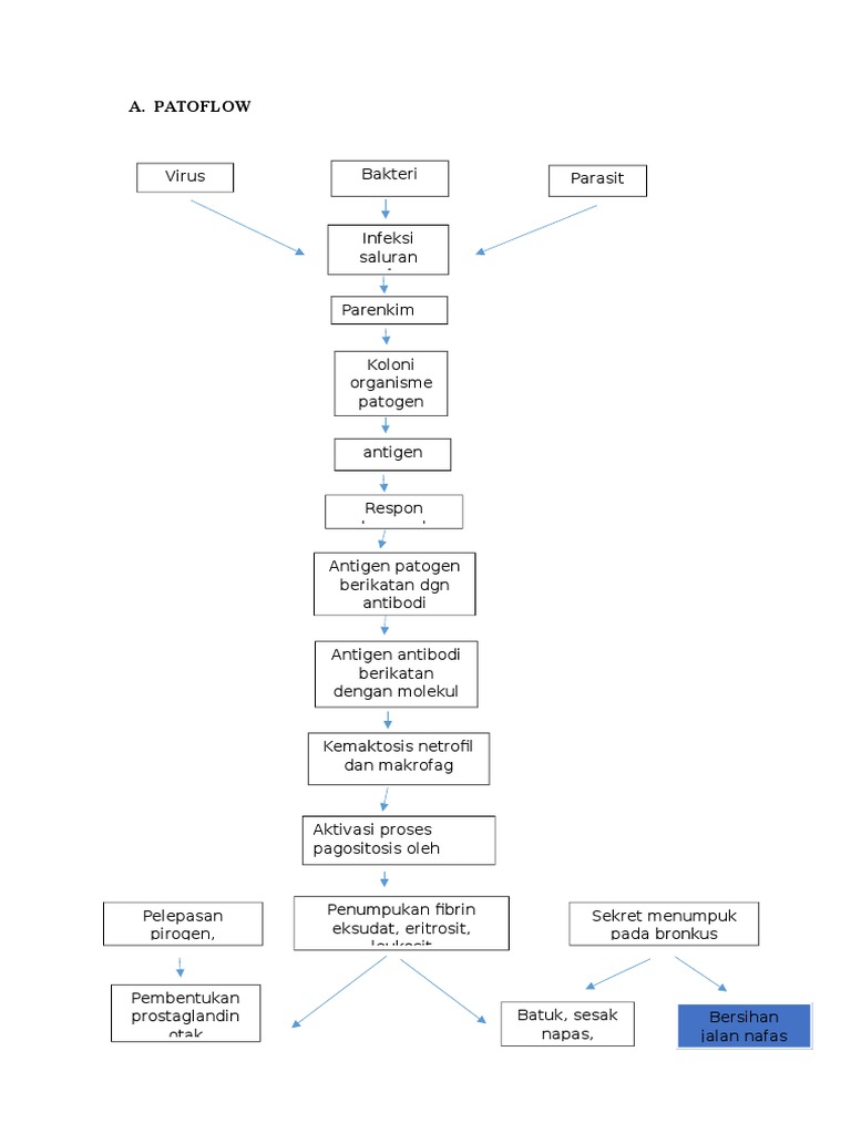 Patoflow Pneumonia | PDF