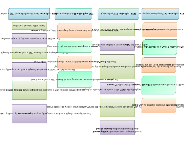 DNA Replication Flowchart | PDF | Dna Replication | Primer (Molecular ...