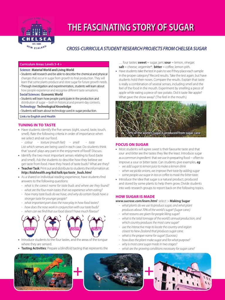 History of Sugar | PDF | Taste | Sugar