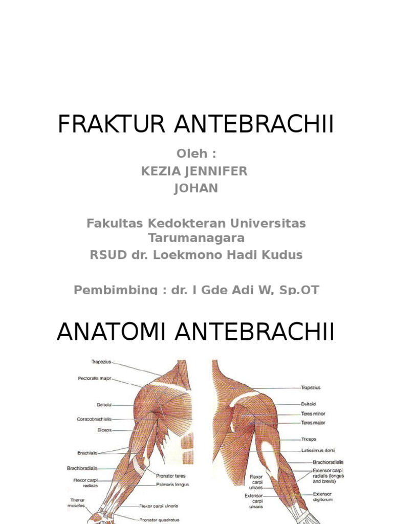 Fraktur Antebrachii | PDF