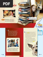 CHAPTER SUMMARIES The BFG | PDF