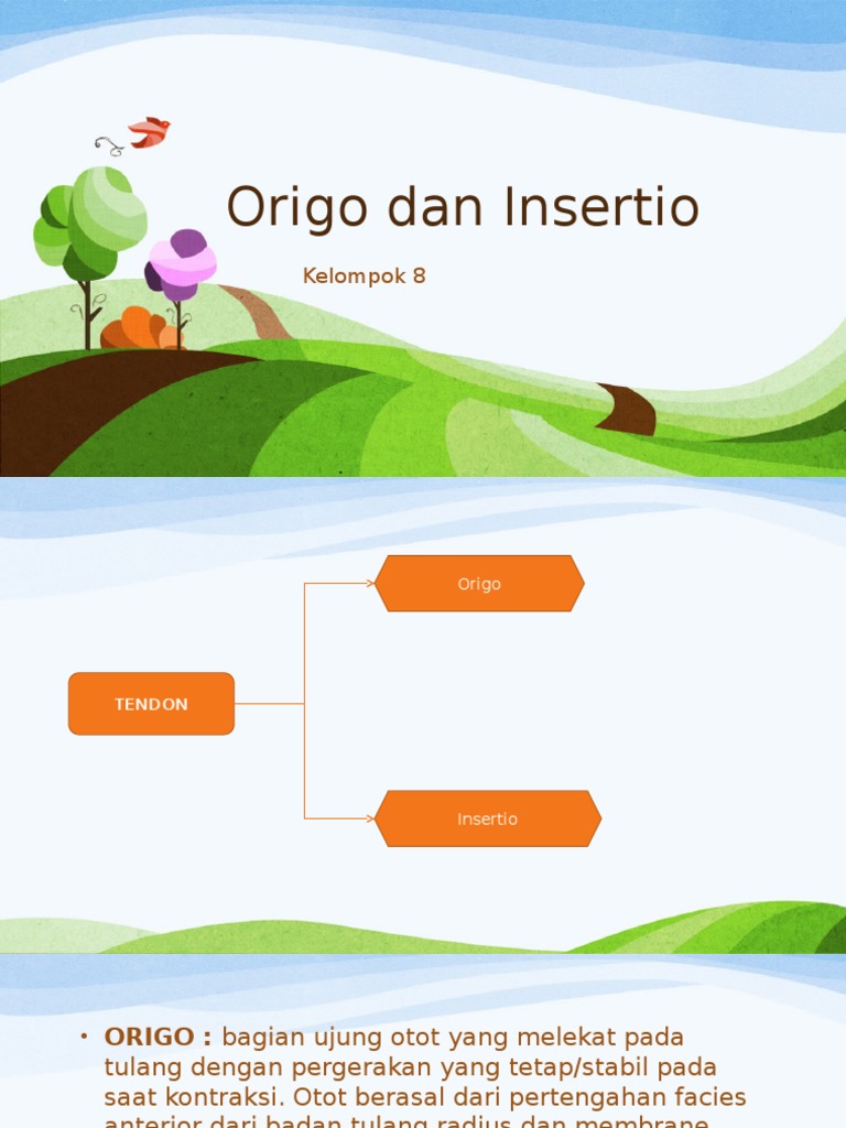 Origo Dan Insertio | PDF