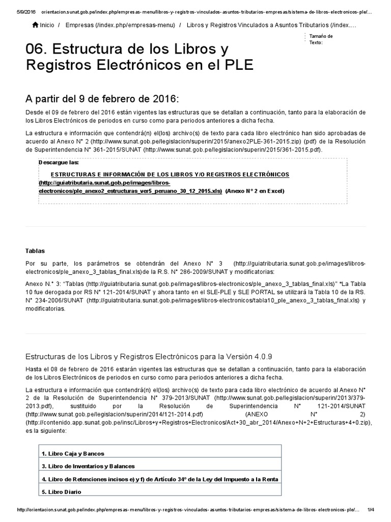 Estructura de Libros Sunat | PDF | Microsoft Excel | Business