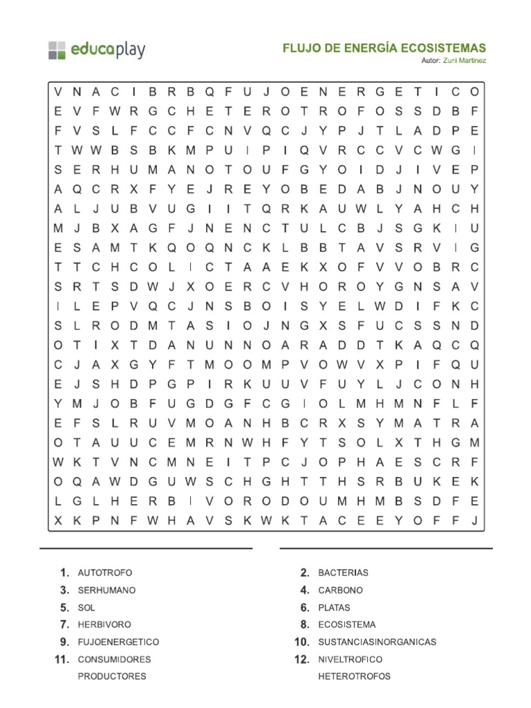 Sopa de Letras - Flujo de Energía Ecosistemas | PDF