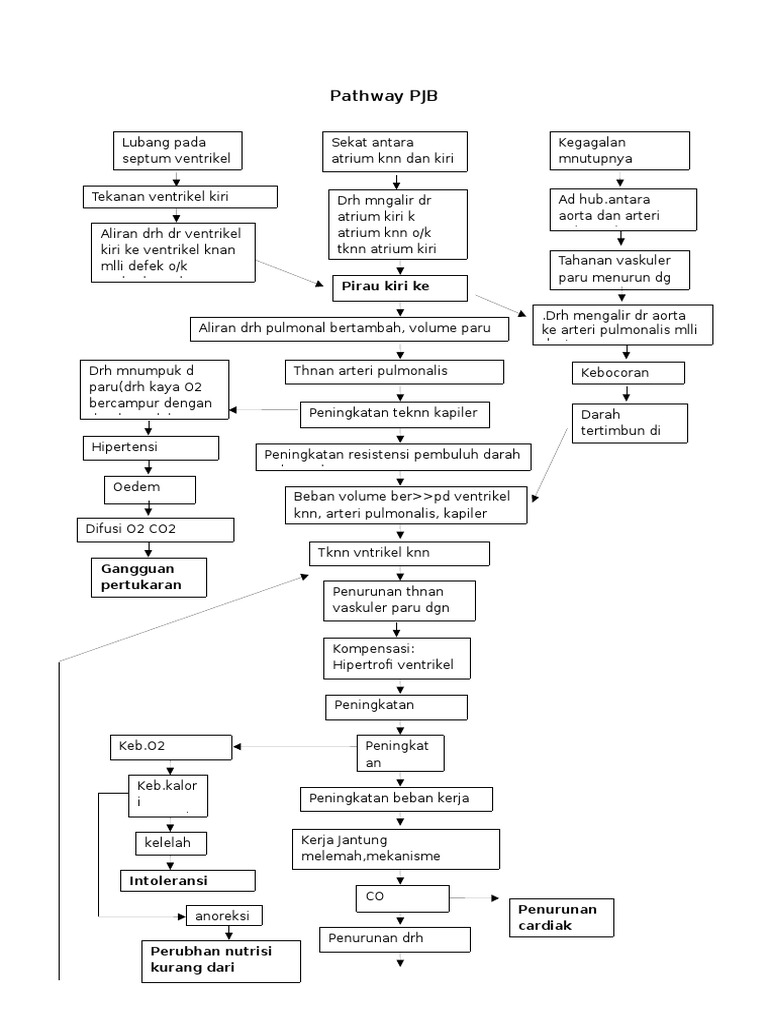 Pathway Penyakit Jantung Bawaan | PDF