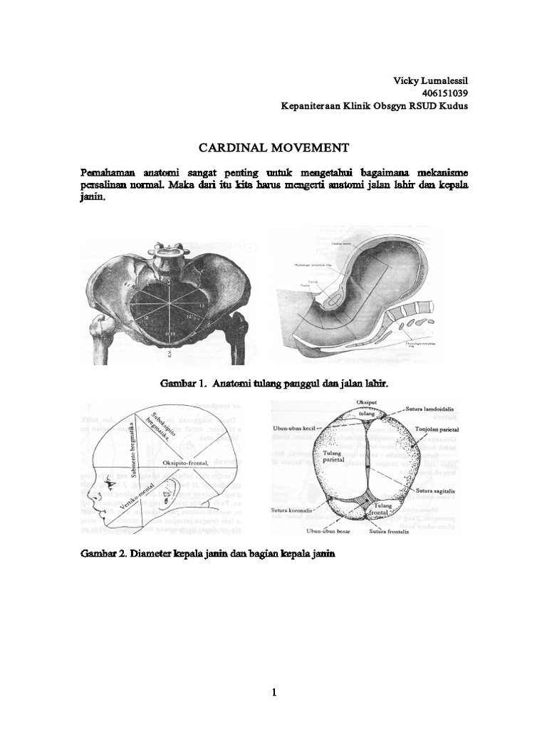 7 Cardinal Movements