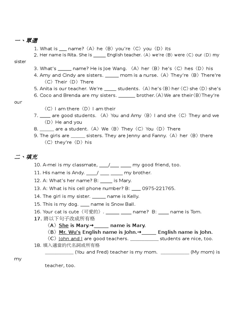 Subjective and Possessive Pronouns | PDF