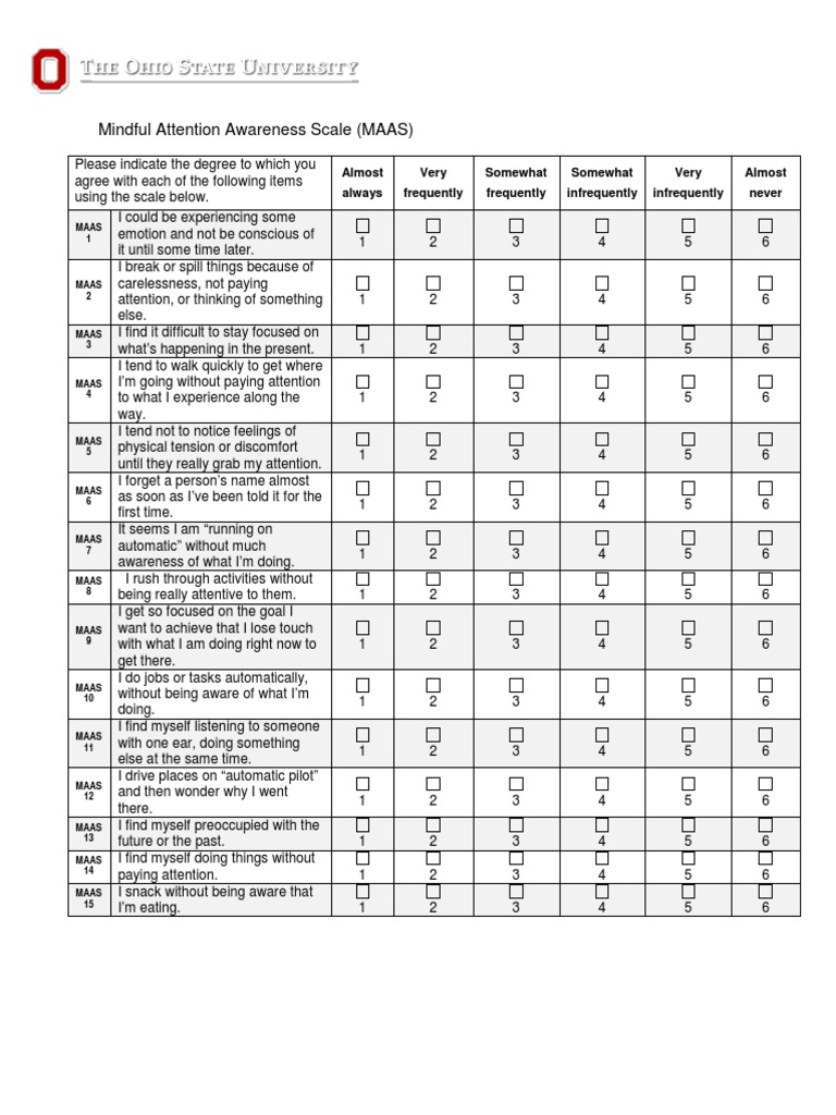 Mindfulness Self-Assessment | PDF
