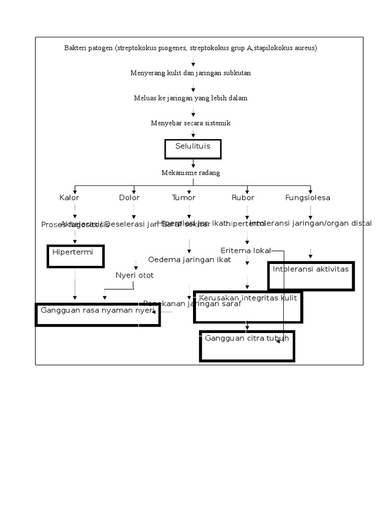 Selulitis Bakteri: Patofisiologi dan Manifestasi Klinis | PDF