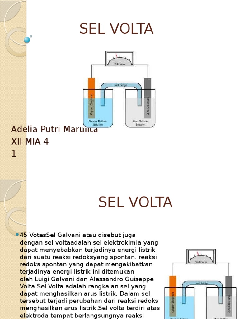 Sel Volta | PDF
