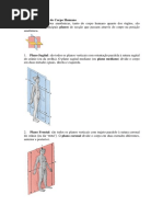 Planos e Eixos | PDF | Anatomia | Crânio