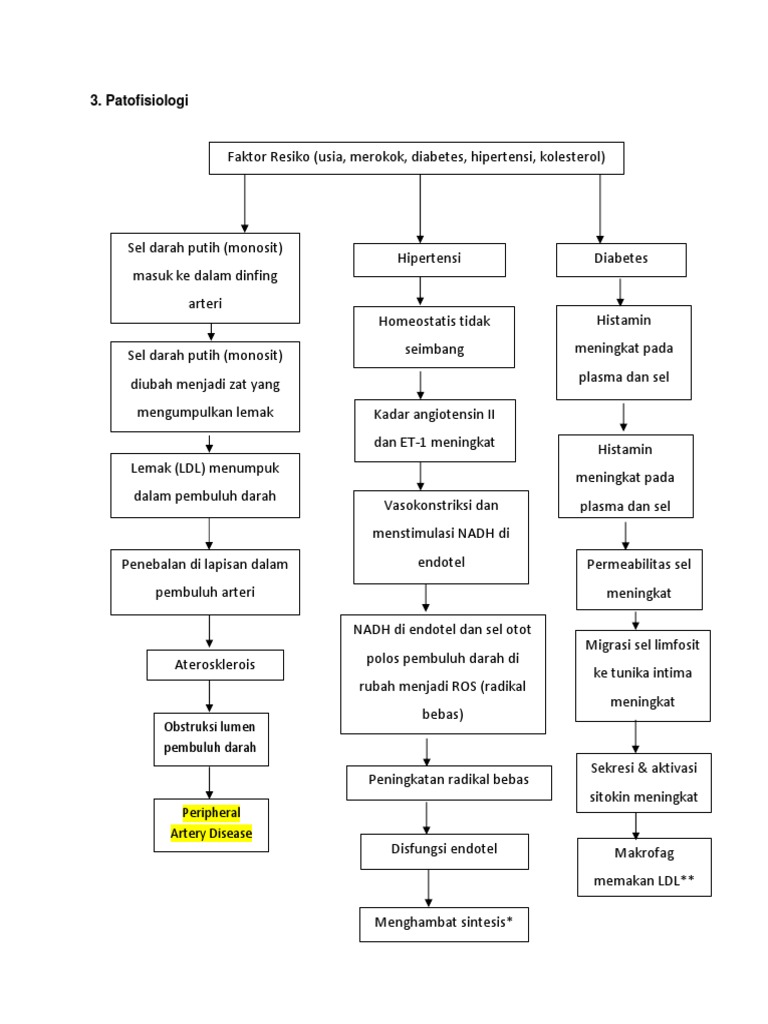 Patofisiologi Penyakit Arteri Perifer | PDF | Sains & Matematika