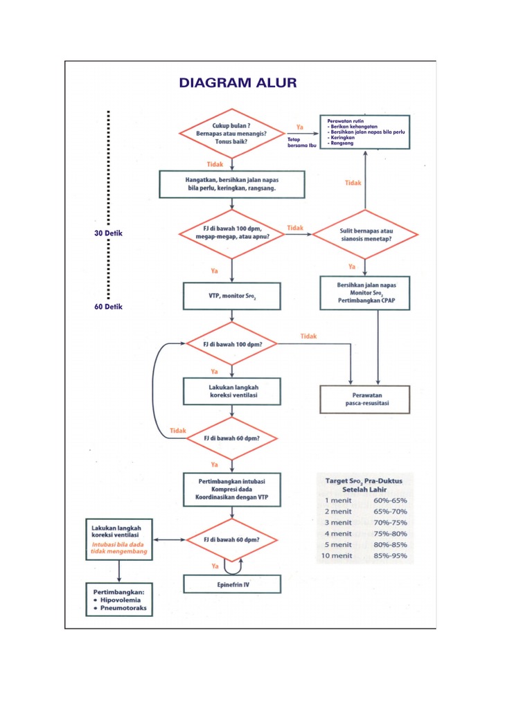 Diagram Alur Resusitasi Neonatus | PDF