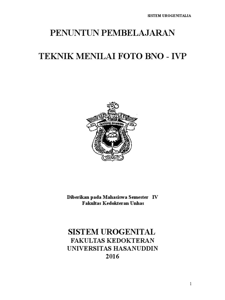 Manual Bno Ivp | PDF | CT Scan | Ginjal