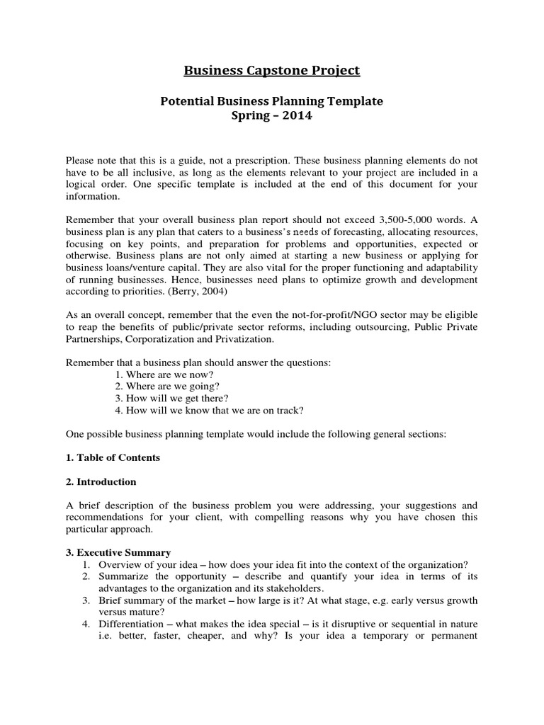 Business Plan Template | Download Free PDF | Business Plan | Strategic ...