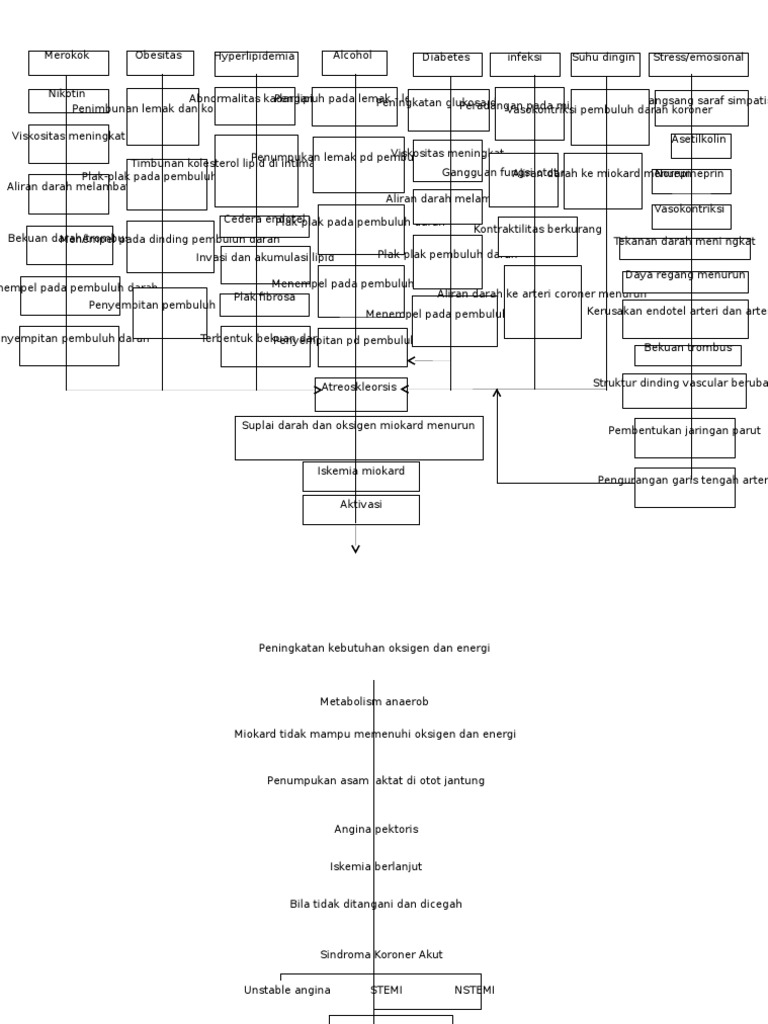 WOC Infark Miokard Akut | PDF