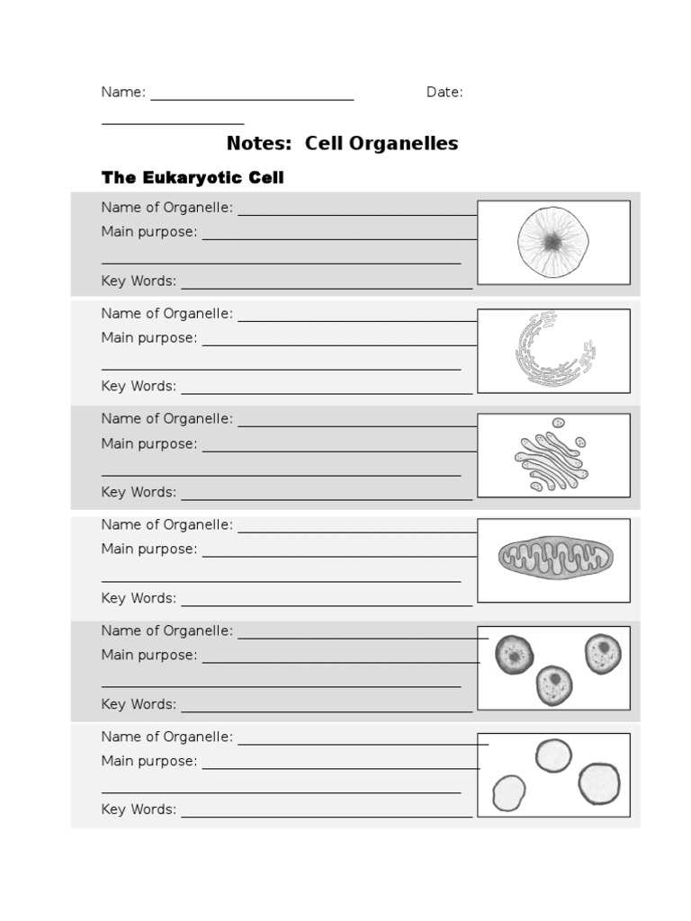2 Cell Organelles Notes | PDF | Self-Improvement | Science & Mathematics
