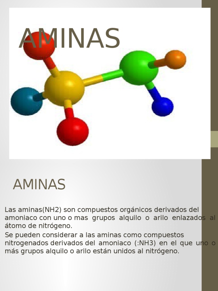 Definición Y Usos De Las Aminas Pdf Amina Compuestos Orgánicos