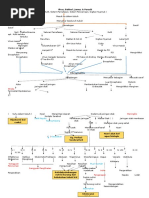Pathway Tonsilitis | PDF