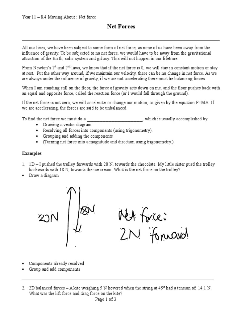 Year 11 Physics: Understanding Net Force | PDF | Science & Mathematics