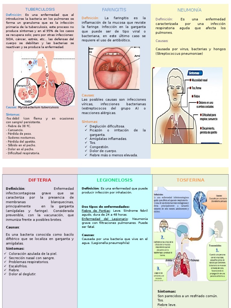 Triptico 2 | PDF | Virus | Neumonía