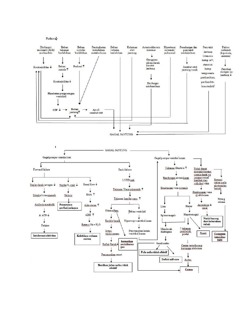 Woc Gagal Jantung | PDF